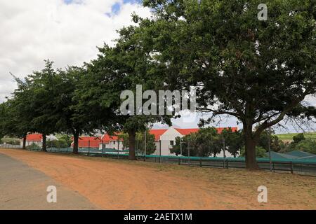 Elsenburg Agricultural Training Institute near Mulder's Vlei, Western ...