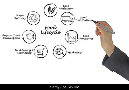 Diagram of Food lifecycle Stock Photo - Alamy