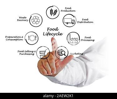Diagram of Food lifecycle Stock Photo - Alamy