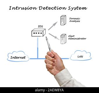 diagram of Intrusion Detection System Stock Photo - Alamy