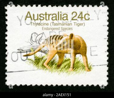 Tasmanian tiger, postage stamp, Australia, 1959 Stock Photo - Alamy
