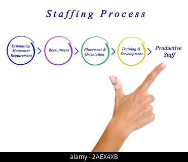 Diagram of staffing process Stock Photo - Alamy