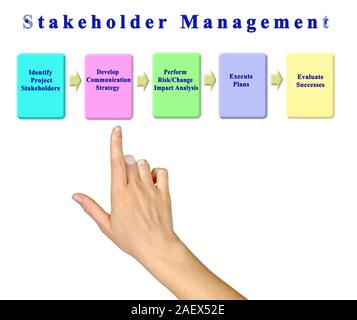Five components of project management Stock Photo - Alamy