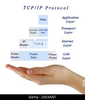 Diagram of TC/IP protocol Stock Photo - Alamy