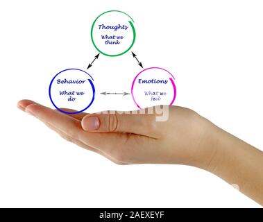 Relationship between cognition, emotions, and behavior Stock Photo - Alamy
