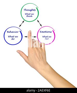 Relationship between cognition, emotions, and behavior Stock Photo - Alamy