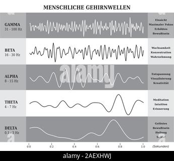 Human Brain Waves Diagram in Rainbow Colors with Explanations - Alpha ...