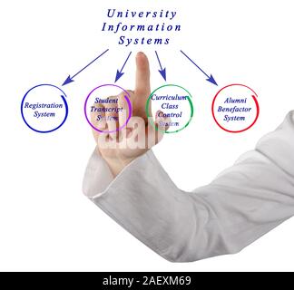 Diagram of University Information system Stock Photo - Alamy