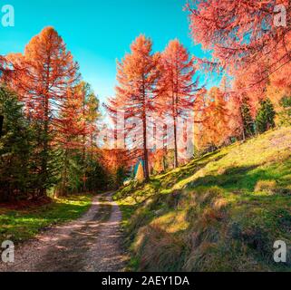 amazing mountain view on a sunny winter day from an old log cabin Stock ...