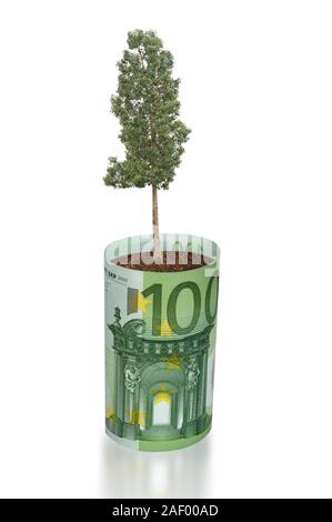 Tree growing from euro bill Stock Photo - Alamy