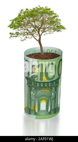 Tree growing from euro bill Stock Photo - Alamy