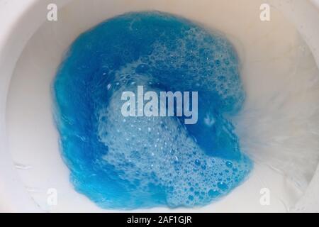 flushing a closestool with blue water Stock Photo - Alamy