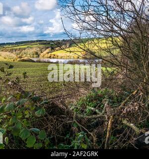 Porth Reservoir seen from Colan Woods the overgrown grounds of the ...