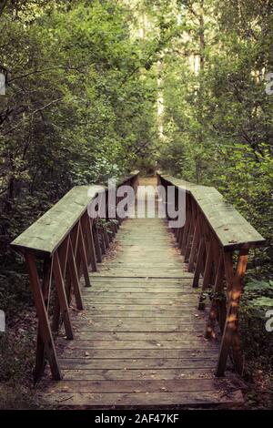 small wooden bridge inside of a forest at the end of a ground path ...