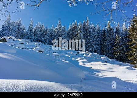 Amazing Winter landscape of Vitosha Mountain, Sofia City Region ...
