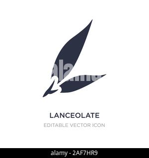 lanceolate leaf design Stock Vector Image & Art - Alamy