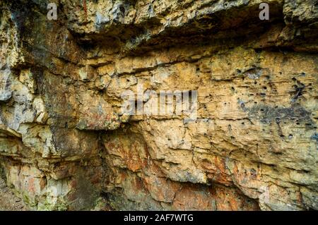 Limestone Rock formation at Creswell Crags in Derbyshire Stock Photo ...