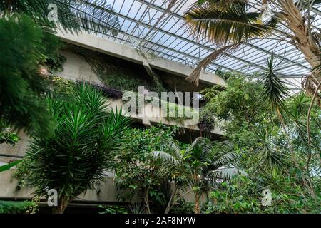 The Barbican Conservatory, glass-roofed tropical gardens and venue ...