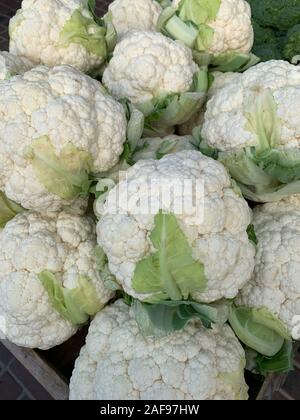 Fresh Cauliflower, Farmers Market. Alexandria, Virginia, USA Stock ...