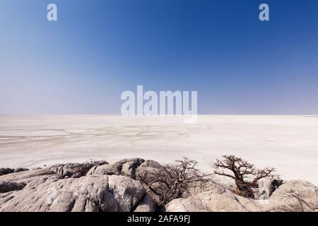 Rocky Kubu island in salt pan, Sowa pan(Sua pan), Makgadikgadi pans ...