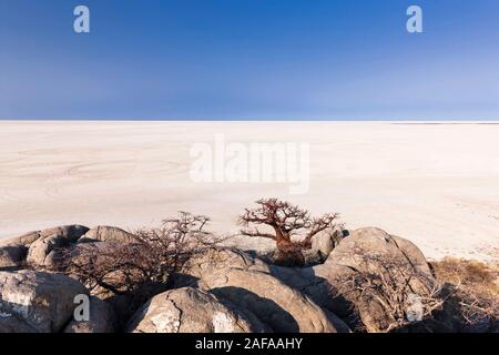 Rocky Kubu island in salt pan, Sowa pan(Sua pan), Makgadikgadi pans ...