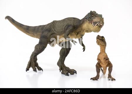 Family of Tyrannosaurus rex with baby tyrannosaurus rex isolated on ...