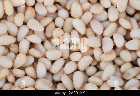 many cedar nut at day Stock Photo - Alamy