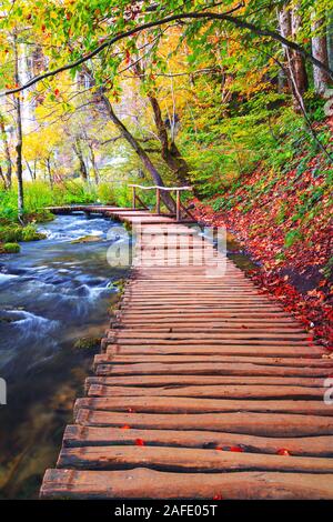 Wooden footpath at Plitvice lakes, Croatia. Road in the forest near ...
