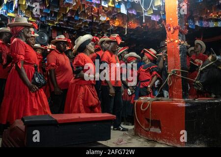 Voodoo ceremony in Haiti : voodoo priest dancing with a sacrificial ...