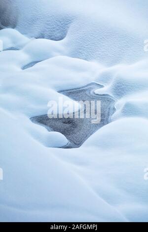 Crystal clear stream with translucent water, forest, wilderness ...