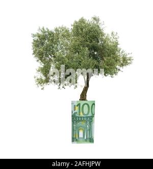 Olive tree growing from euro bill Stock Photo - Alamy