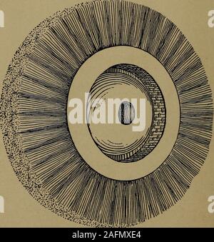 Electroplating; a treatise for the beginner and for the most ...