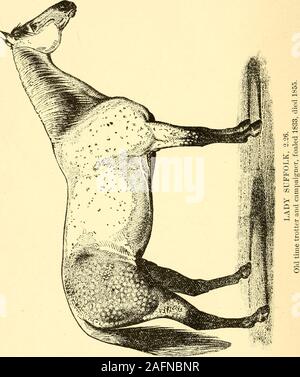 . A Complete practical work on the nature and treatment of venereal ...
