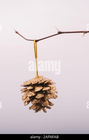 Pine cone in hand at the edge of a stick Stock Photo - Alamy