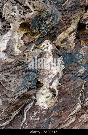 Devonian era rocks at Saltern cove south of Paignton , Devon, UK, in ...