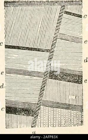 One of many water-filled fissures created by the movement of the ...