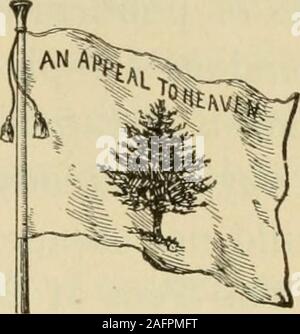 Flag of Pine Tree An Appeal to Heaven along with a flag of the United ...