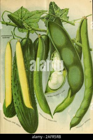 Light green and dark green long beans sit amongst other vegetables at a ...