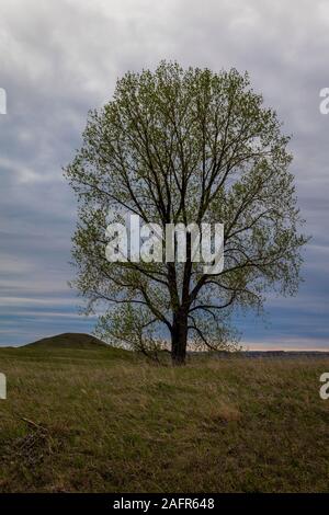 Fort Yates, North Dakota - The Standing Rock Monument on the Standing ...