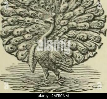 History of Burma including Burma proper Pegu, Taungu, Tenasserim and ...