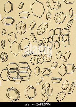 perfect imperfect bladder