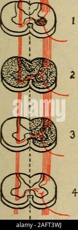 . Medical diagnosis for the student and practitioner. a ...