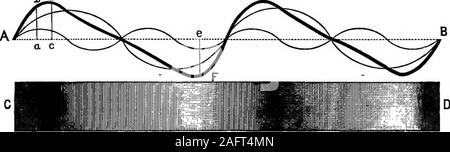 Small Particles In Jerky Movement