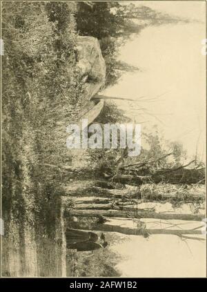 . The battle of Pell's Point (or Pelham) October 18, 1776. Being the ...