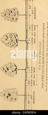 silver maple Tree roots Stock Photo - Alamy