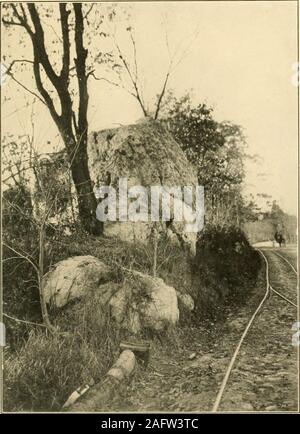 . The battle of Pell's Point (or Pelham) October 18, 1776. Being the ...