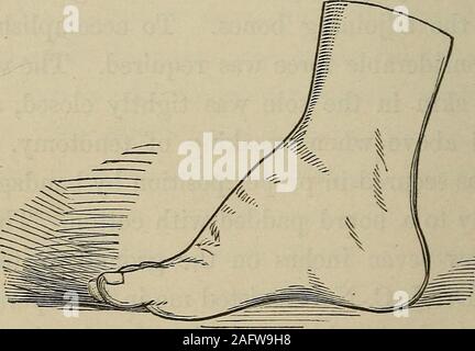 Proper position of the foot on the ground Stock Photo - Alamy