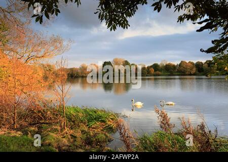 Autumn sunset over Ferry Meadows country park, Peterborough ...