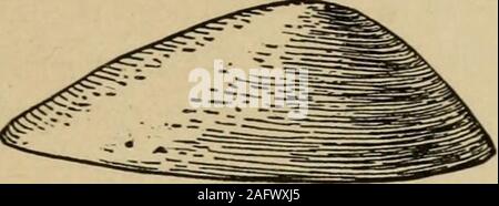 The SS United States which was removed from service in 1969, is shown ...