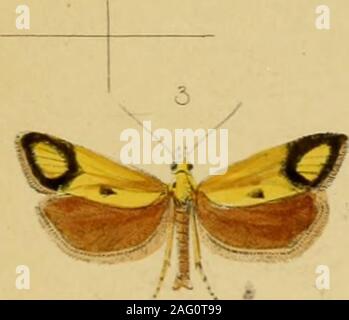 . British insects : a familiar description of the form, structure ...